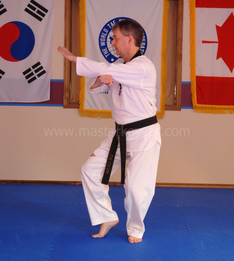 Taekwondo Stances / Master Keyver Taekwondo / Uxbridge, Ontario