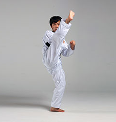 Master Keyver Taekwondo